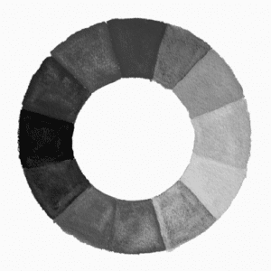 Painting With Color and Light - Color Shading Light & Shadow Techniques