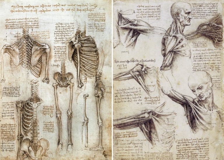 What is Écorché Drawing - and The Importance of Anatomy for Artists