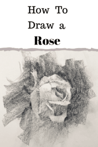 How to Draw a Rose Step By Step Rose Drawing Tutorial