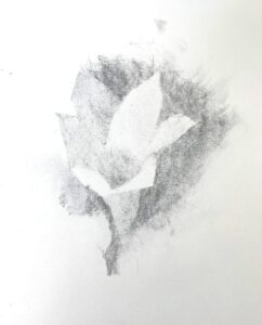 How to Draw Flowers that Stand Out From the Crowd - Art Studio Life