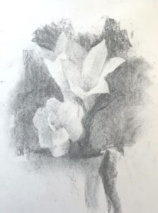 How to Draw Flowers that Stand Out From the Crowd - Art Studio Life