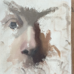 How to Paint a Nose (with Helpful) Charts for Mixing Colors