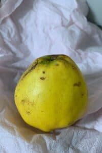 Fall Painting Ideas & How to Paint with Fall Colors - Art Studio Life