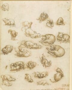 7+ Creative Drawing Ideas to Help INSPIRE You to Draw More