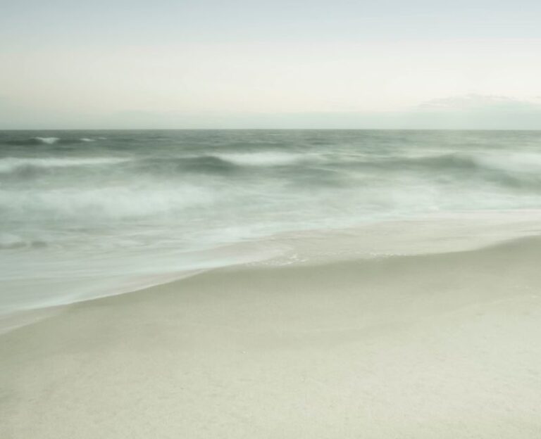 What Are Muted Colors & How to Use a Muted Colors Palette