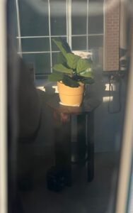 7 Realism Painting Tips to Help You Create More Realistic Paintings