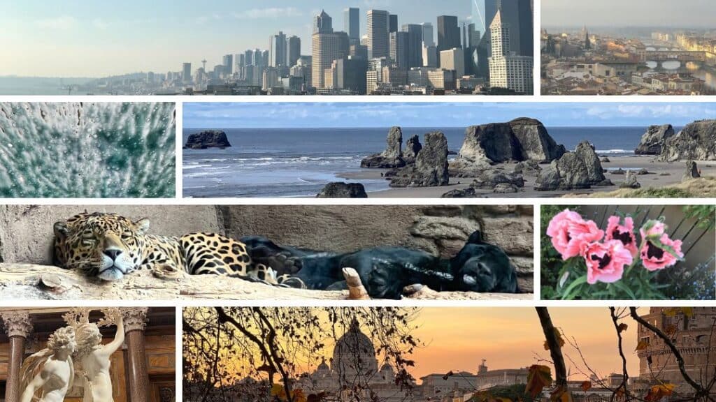 Reference Image Library: For Artistic Study and Inspiration - Art ...