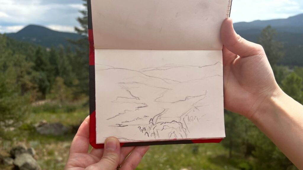 Why Line Drawing is so Essential – A Painter’s Guide