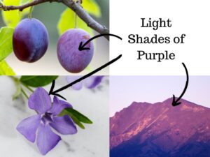 Identifying Light Colors of Purple (and How to Mix Them)