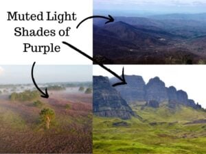 Identifying Light Colors of Purple (and How to Mix Them)
