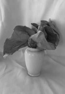 Painting in Four Values: 3 Key Exercises for Painting with Values