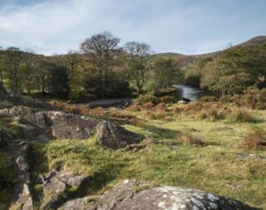 Creating a Strong Color Story in your Art