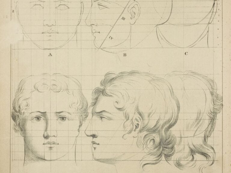 Understanding Proportion in Art: A Guiding Line for Artists