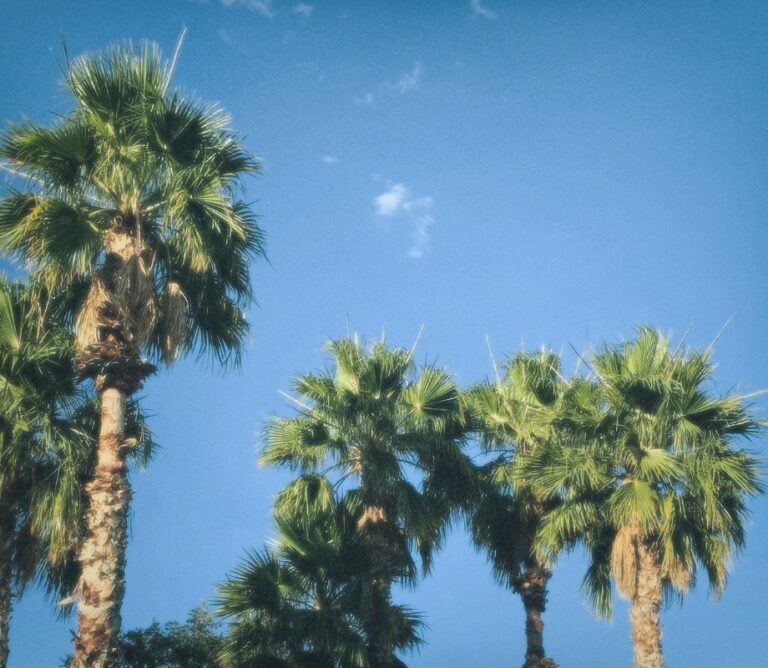 Oil Paint Drying Times: How to Make Oil Paints Dry Faster